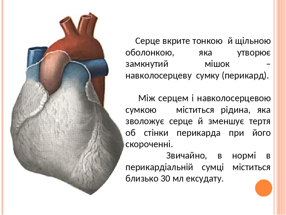 Презентація до відкритого уроку з біології у 8 класі "Система ...