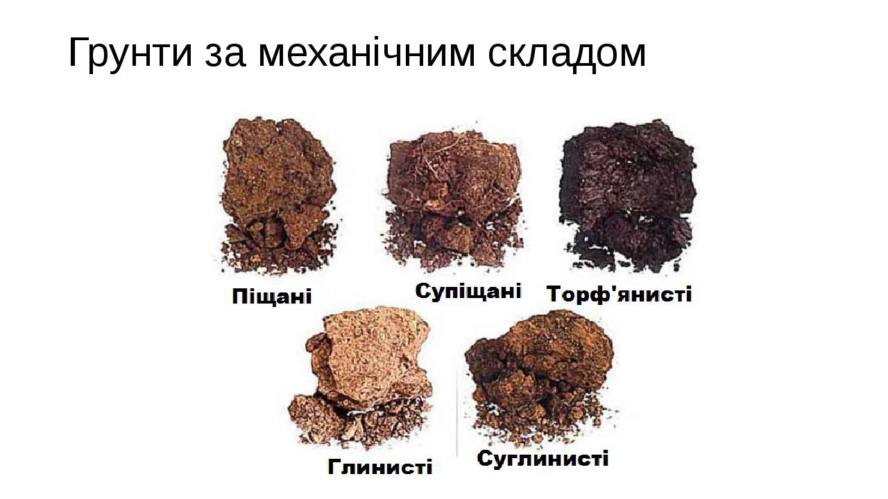 Грунти України презентація до уроку для 8 класу | Презентація. Географія