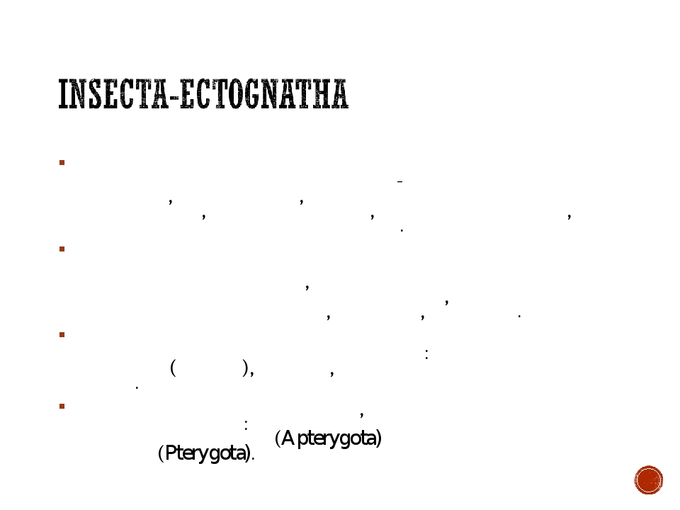Презентація"Класифікація класа комах, таксономічна характеристика родів ...