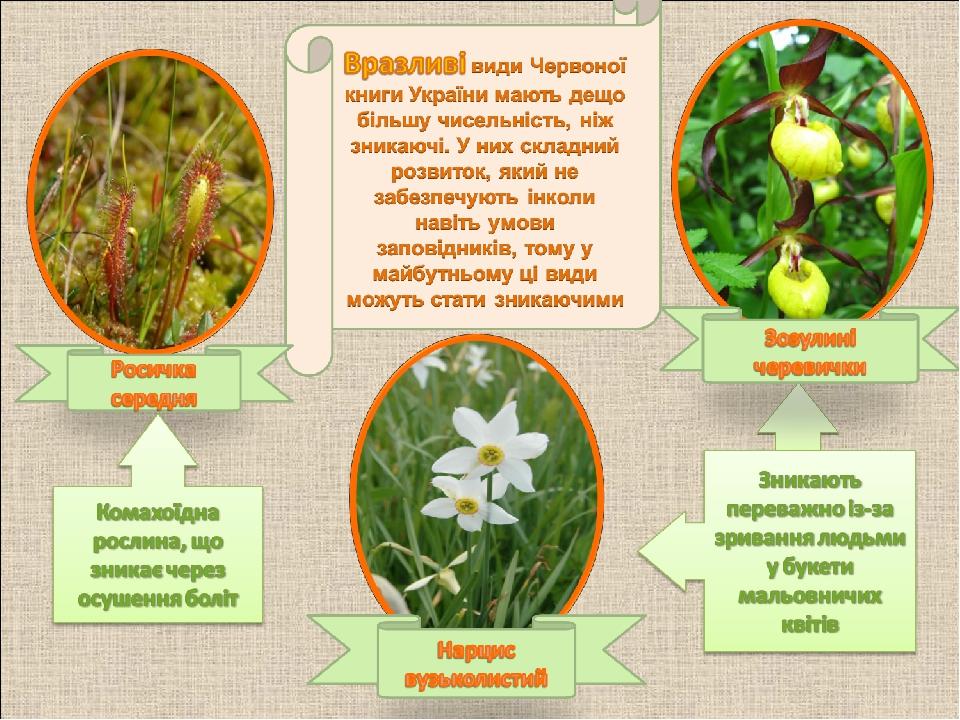 Презентація на тему Червона книга України Презентація Природознавство