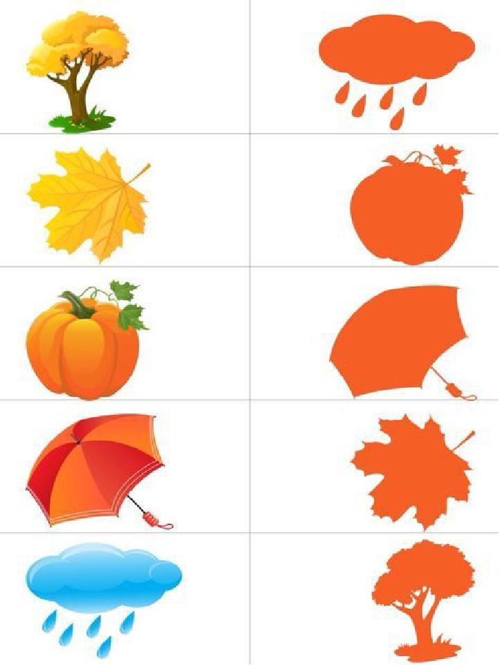 Дидактична гра Знайди тінь 5 тиждень НУШ Презентація НУШ