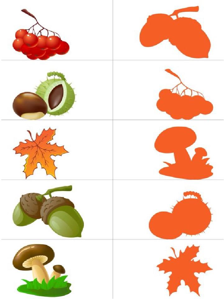 Дидактична гра Знайди тінь 5 тиждень НУШ Презентація НУШ