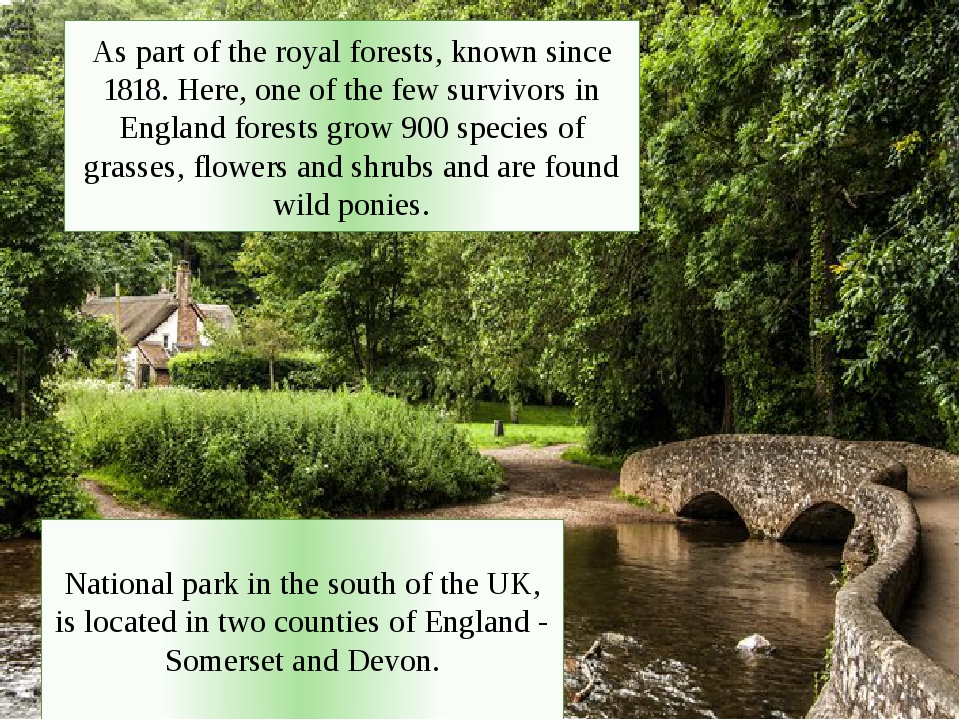 Презентація на тему: "Natural parks in Great Britain"