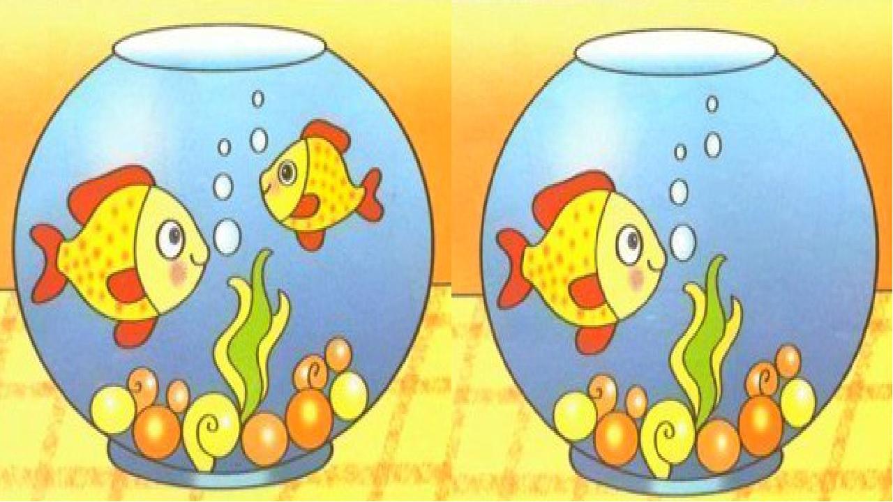 Дидактична гра Знайди відмінності Презентація Гра