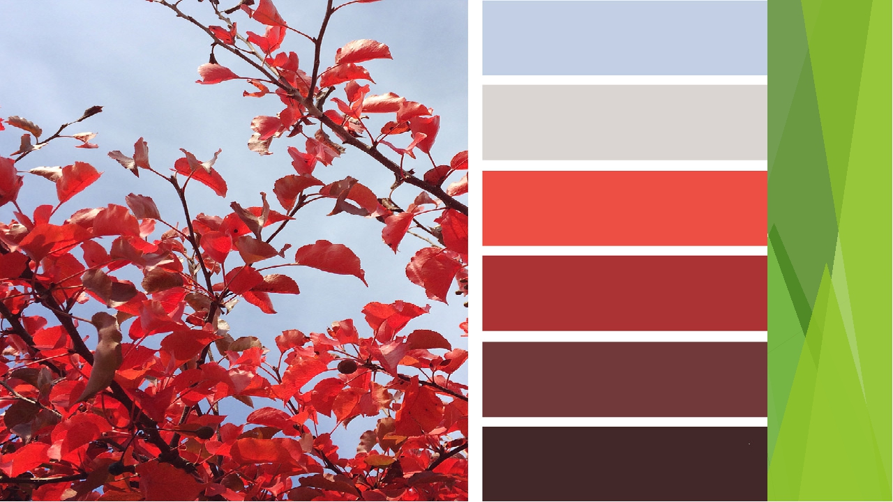 Теплі та холодні кольори. Матеріал для уроку образотворчого мистецтва.