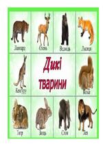 Відкритий урок. «Я досліджую світ» на тему: «Різноманітність тварин ...