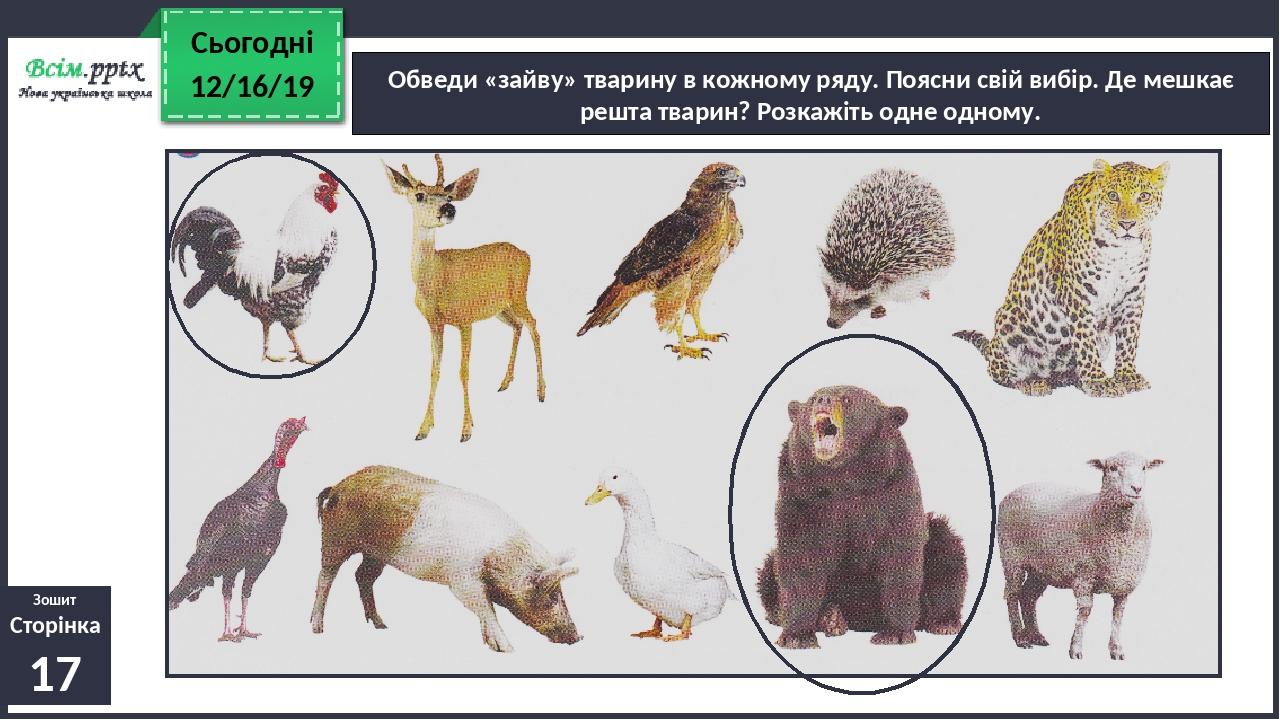 Презентація на тему : "Різноманітність тварин. Дикі і свійські тварини ...