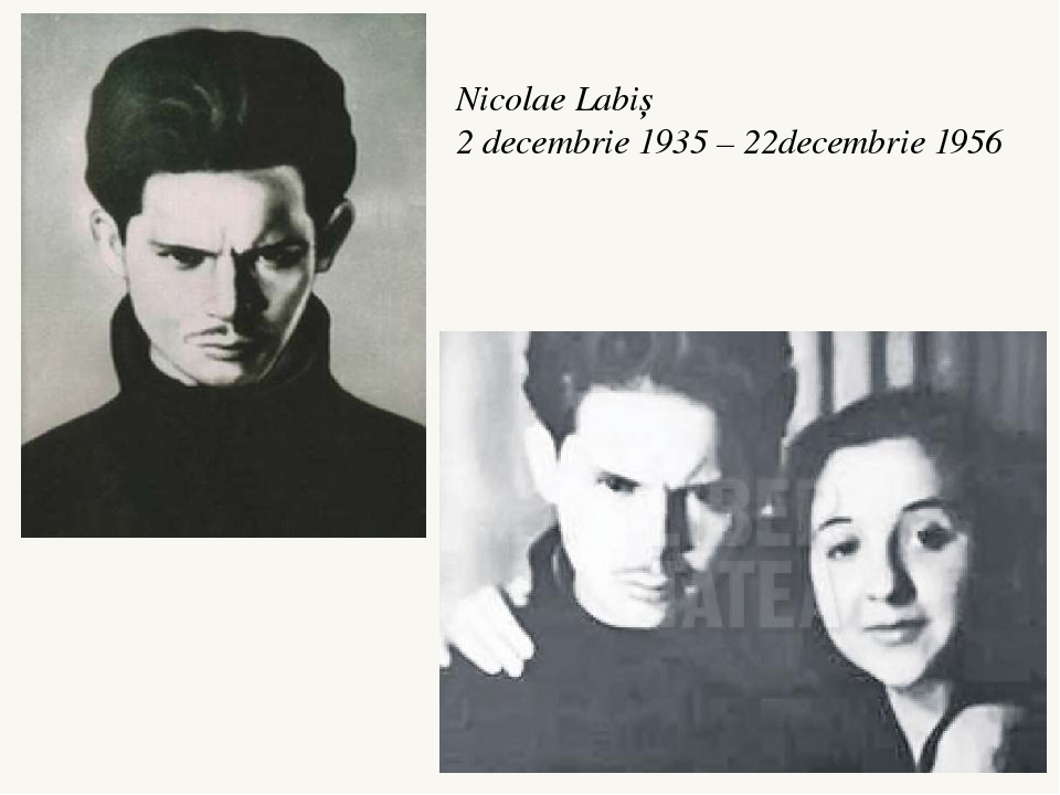Nicolaie Labiș, date bio - bibliografice.Poezia „Moartea căprioarei”