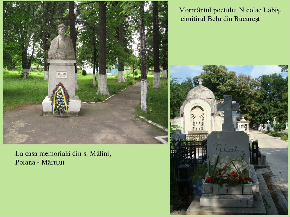 Nicolaie Labiș, date bio - bibliografice.Poezia „Moartea căprioarei”