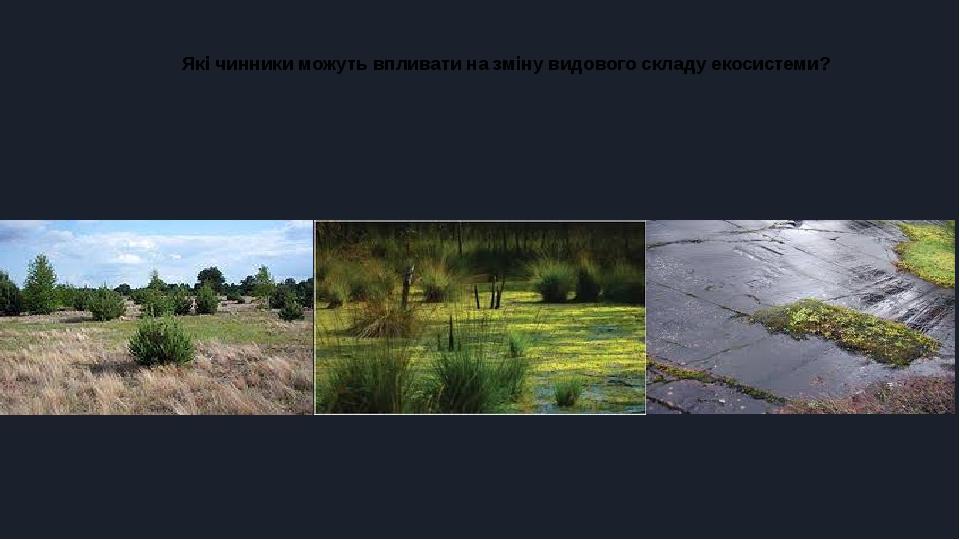 Презентація "Екологічні сукцесії як процеси саморозвитку екосистем ...