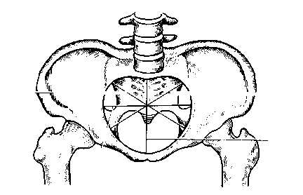 АЛГОРИТМИ виконання практичних навичок з акушерства | Інші методичні ...