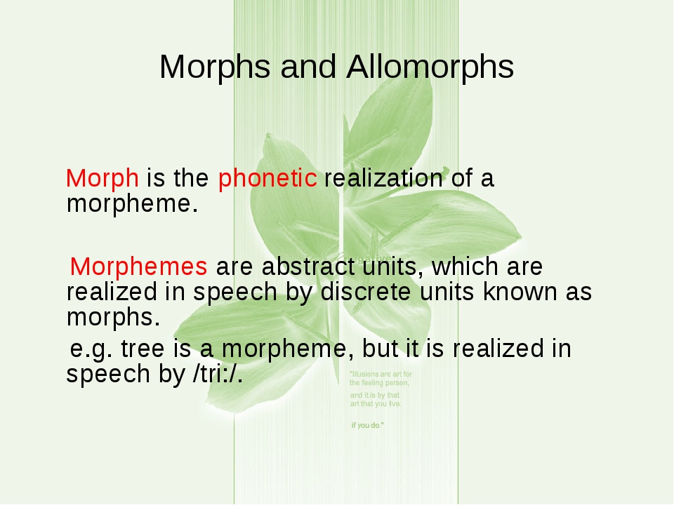 Теоретична граматика англійської мови. Презентація на тему "Morphology ...