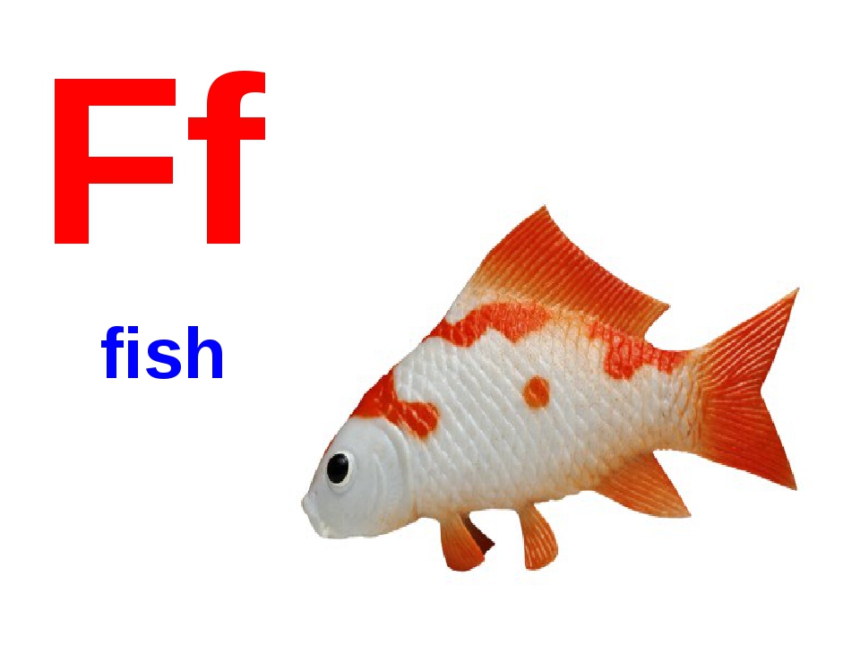 Презентація до виступу на педраді "Робота вчителів англійської мови"