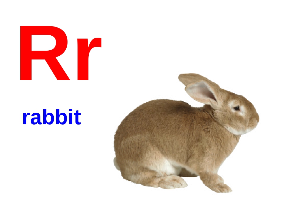 Презентація до виступу на педраді "Робота вчителів англійської мови"