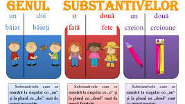 Subiectul : ” Genul substantivelor”