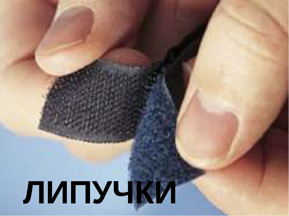 Презентація до західу з виховної роботи "День гудзиків"